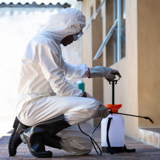 Bug Extermination | D’Bugger Pest Control | Mahopac NY